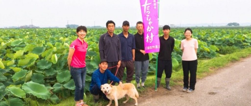 吉田農園 YOSHIDA Lotus Root Farm｜農園直売所のご案内